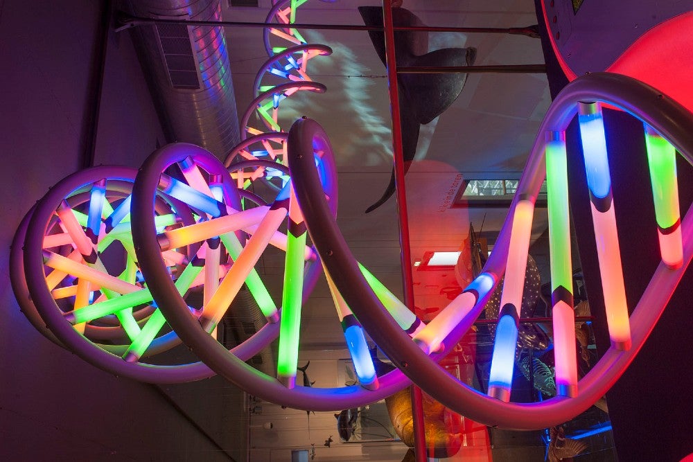 Glass nanopore pulls DNA like spaghetti through a needle | UCR News ...