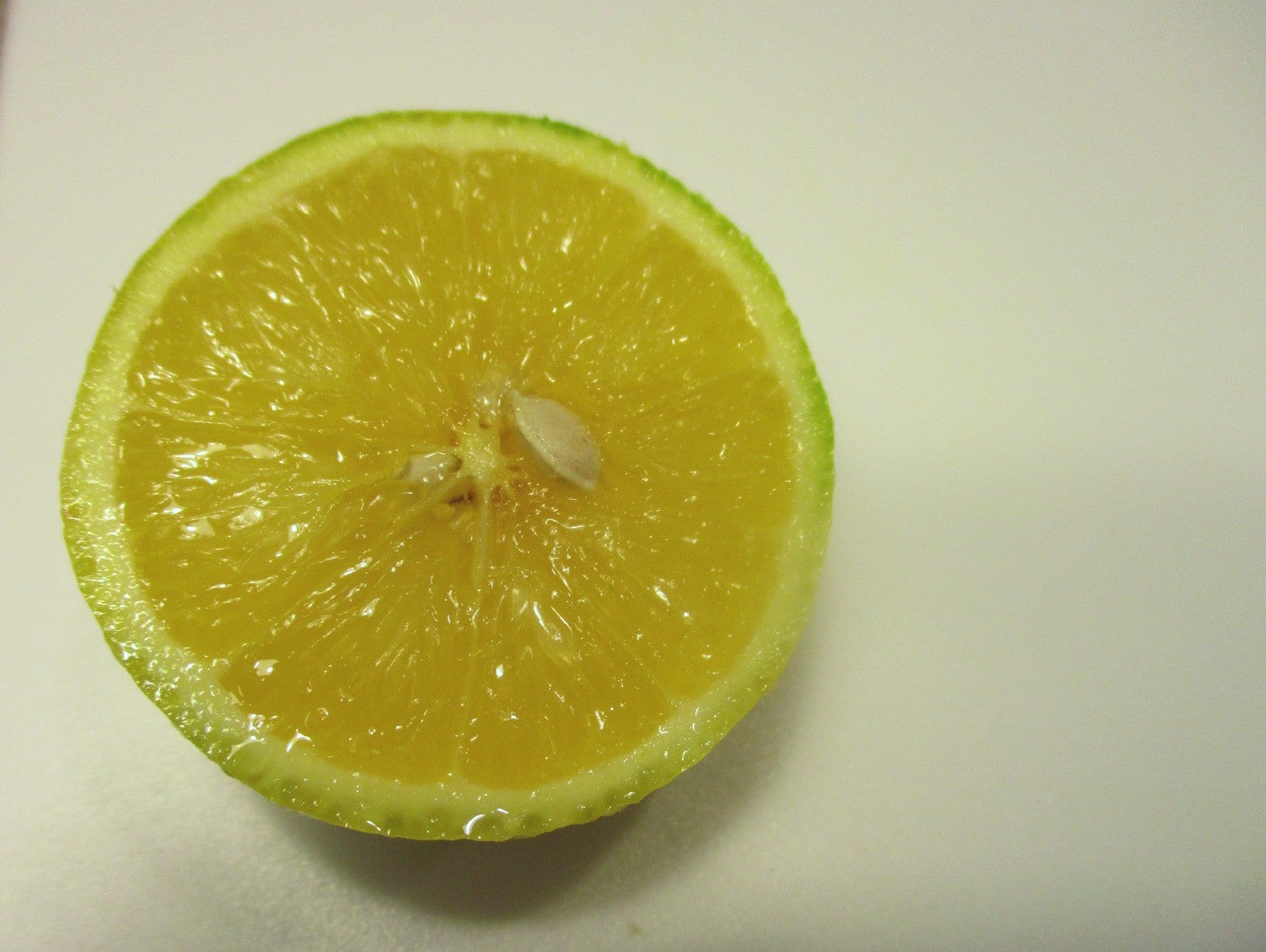 Delicious and disease-free: scientists attempting new citrus varieties ...