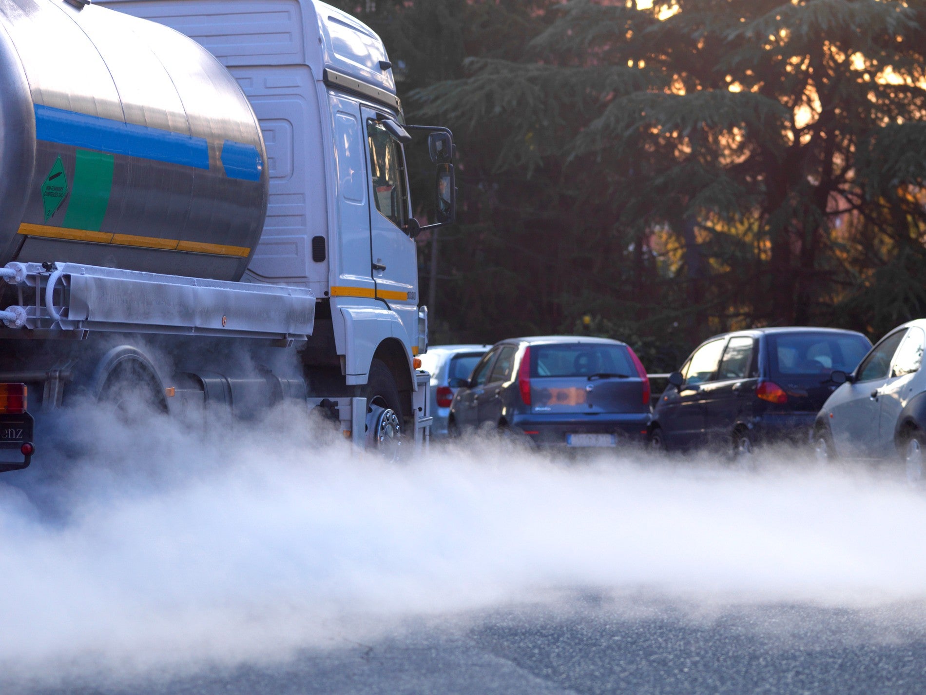 Soil tainted by air pollution expels carbon | UCR News | UC Riverside