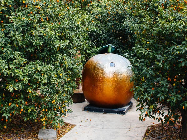 statue-of-orange-chass.jpg | UCR News | UC Riverside
