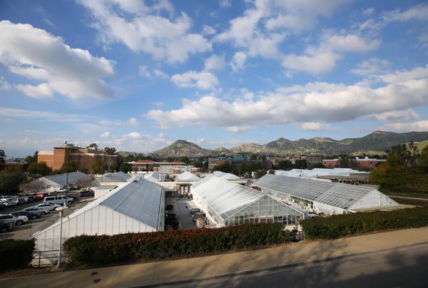Greenhouses | UCR News | UC Riverside