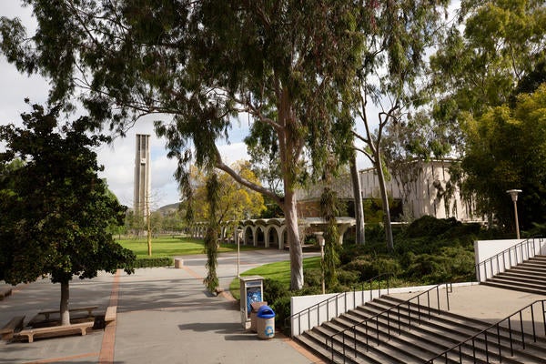 Campus beauty | UCR News | UC Riverside