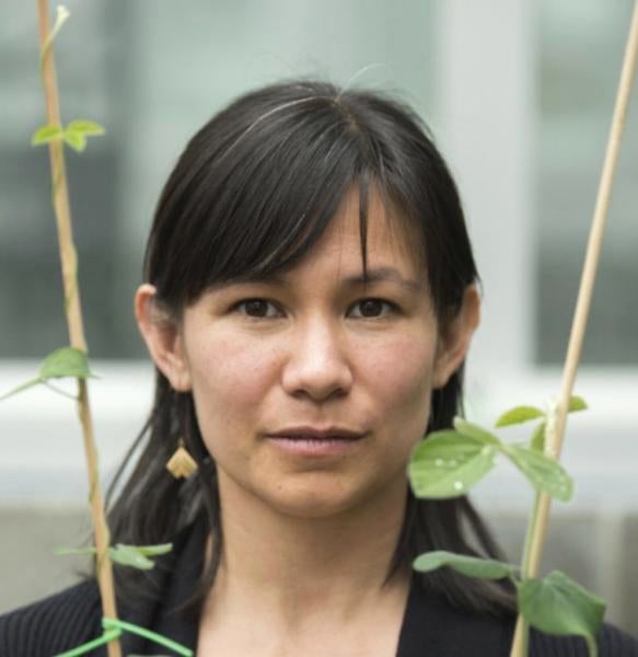 stephanie porter | UCR News | UC Riverside