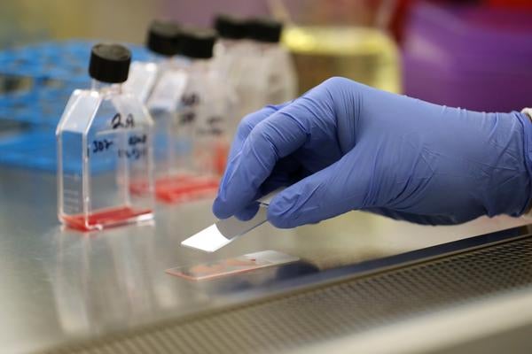 genomics | UCR News | UC Riverside