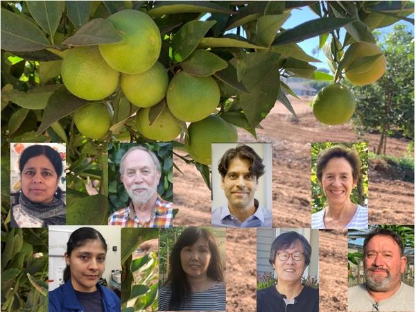 group citrus team photo | UCR News | UC Riverside