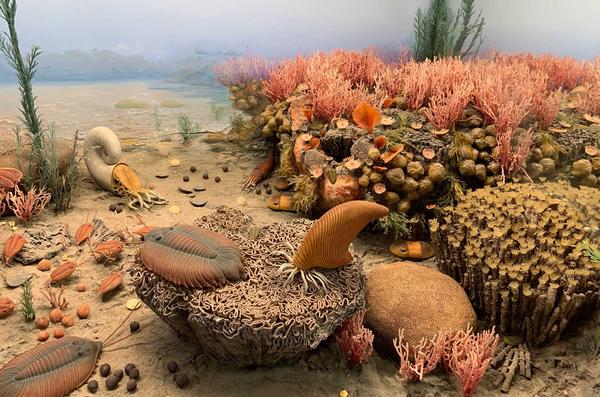 silurian diorama | UCR News | UC Riverside