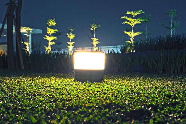 night field | UCR News | UC Riverside