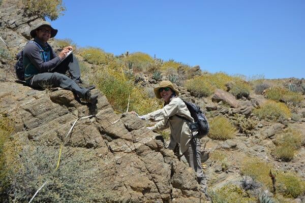 plant sampling in the desert | UCR News | UC Riverside
