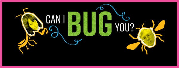 Can_I_Bug_You | UCR News | UC Riverside