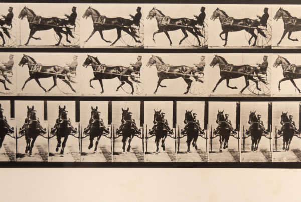 “Animal Locomotion” | UCR News | UC Riverside