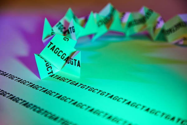 DNA ACGT | News