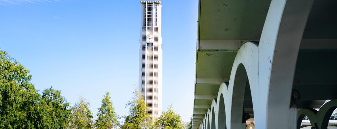 More than books: discover UC Riverside’s Tomás Rivera Library | News More than books: discover UC Riverside’s Tomás Rivera Library | News